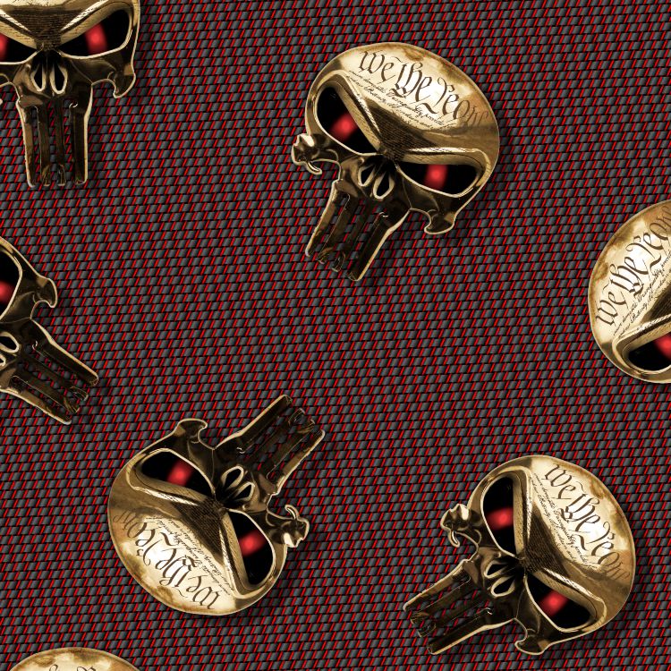 Punisher Skull Carbon Fiber 25 – Pattern Crew