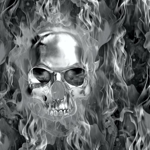 Terminator Skull Flames 23 – Pattern Crew