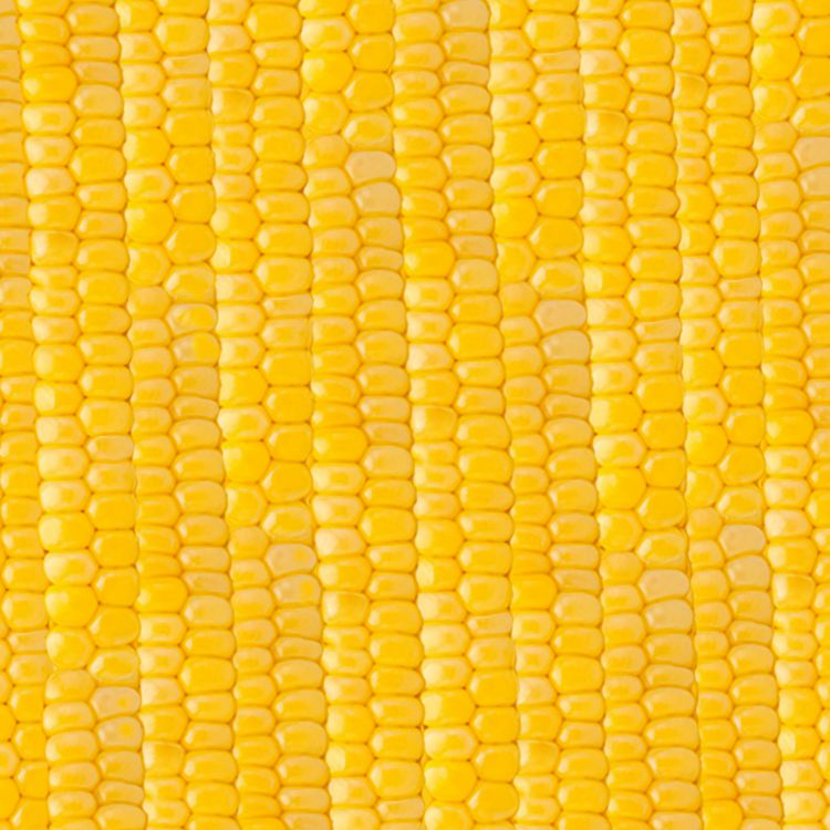 Sweet Corn 22 – Pattern Crew