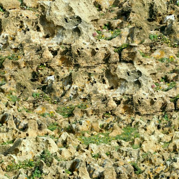 Cliff Face Texture 24 – Pattern Crew