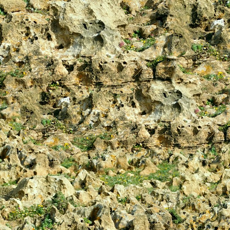 Cliff Face Texture 24 – Pattern Crew