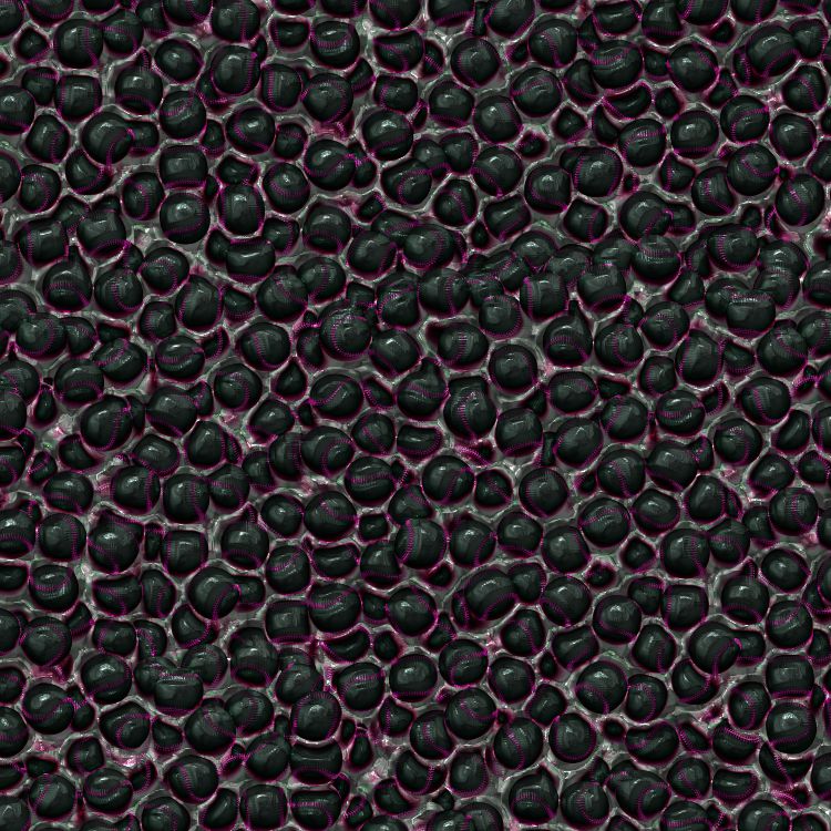 Dragon Underbelly Skin 23 – Pattern Crew