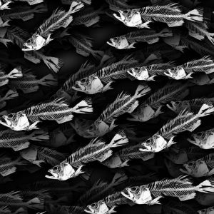 Animal Skulls – Pattern Crew