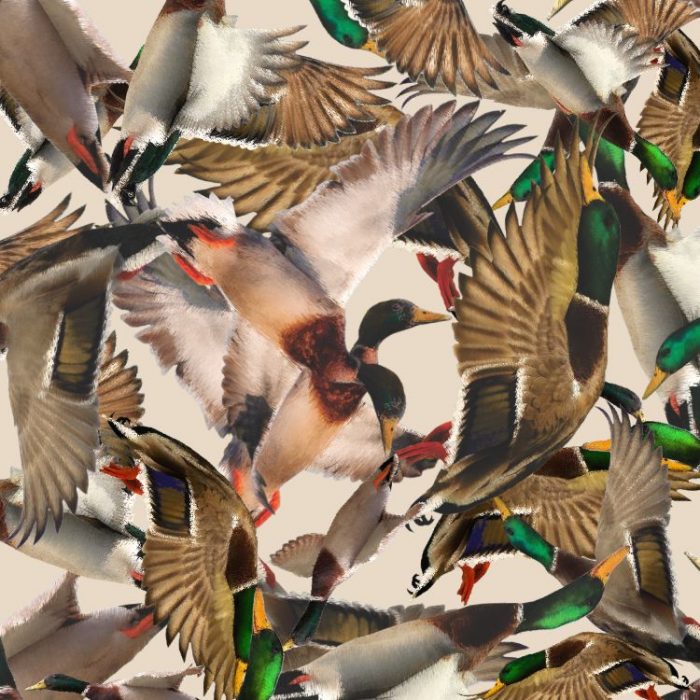 Mallard Ducks Tan Sky – Pattern Crew