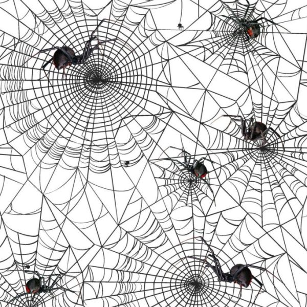 Black Widow 24 – Pattern Crew