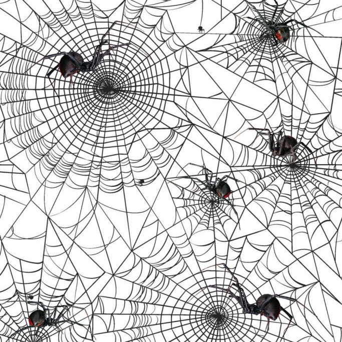 Black Widow 24 – Pattern Crew