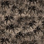Tarantulas 25 Camouflage – Pattern Crew