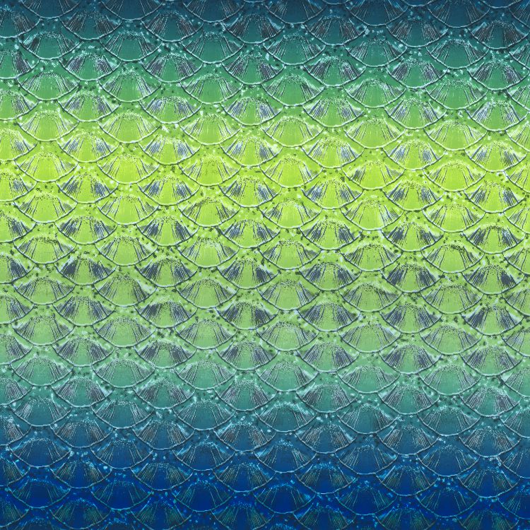 Fish Scales 42 – Pattern Crew