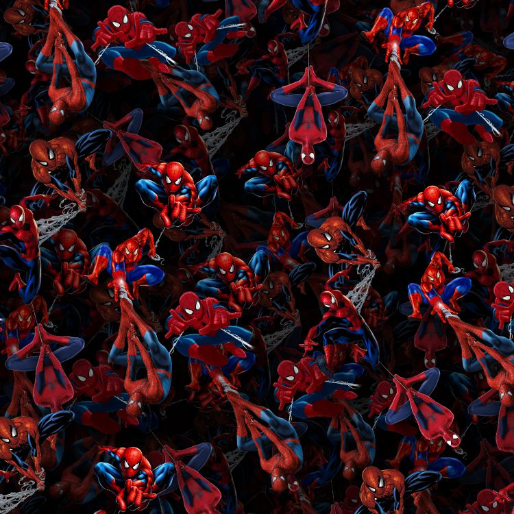 Spiderman 23 – Pattern Crew
