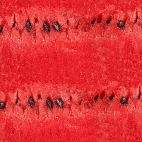Watermelon Flesh – Pattern Crew