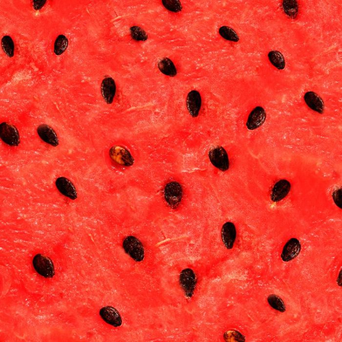 Watermelon Flesh 23 – Pattern Crew