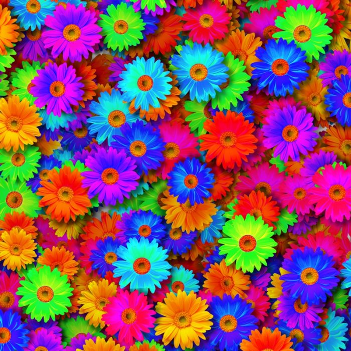 Colored Daisies 22 – Pattern Crew