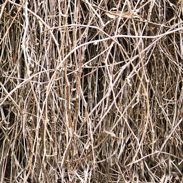 Nested Camouflage 22 – Pattern Crew