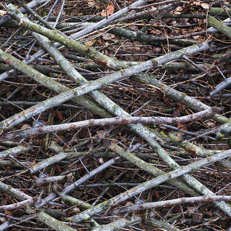 Stick and Leaf Camouflage 32 – Pattern Crew