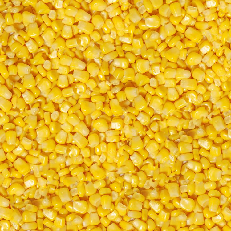 Sweet Corn – Pattern Crew