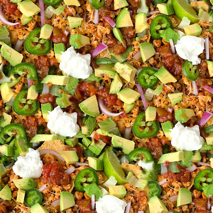 Taco Toppings – Pattern Crew