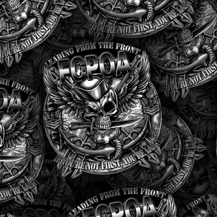 US Navy FCPOA Emblem 22 – Pattern Crew