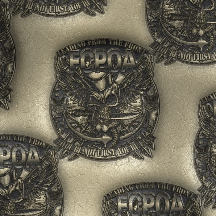 US Navy FCPOA Emblem 24 – Pattern Crew