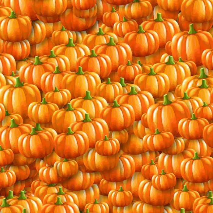 Pumpkins 25 – Pattern Crew