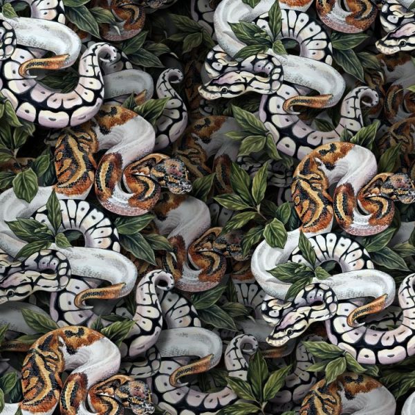 Ball Pythons 22 – Pattern Crew