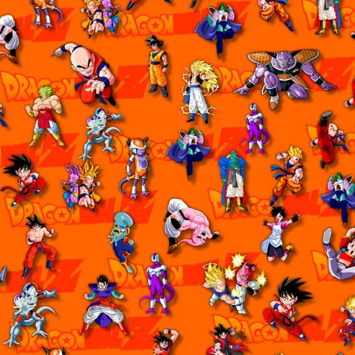 DragonBallZ 28 – Pattern Crew