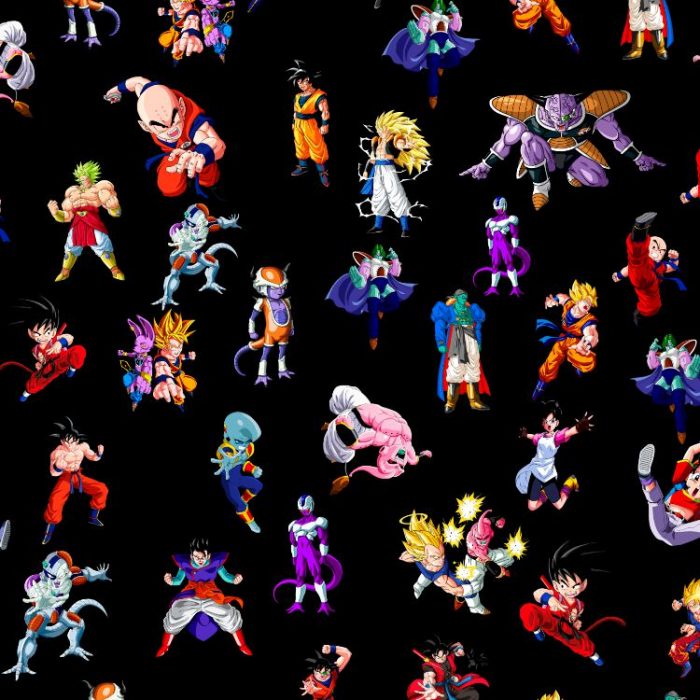 DragonBallZ 29 – Pattern Crew