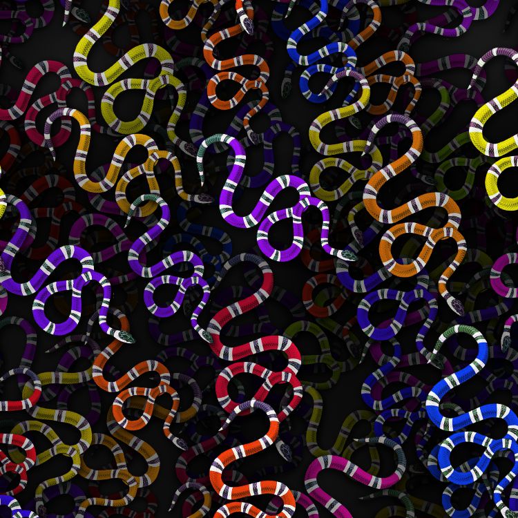 Sea Snake 23 – Pattern Crew