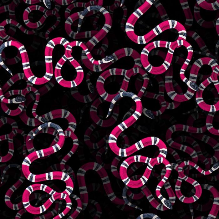 Sea Snake 24 – Pattern Crew