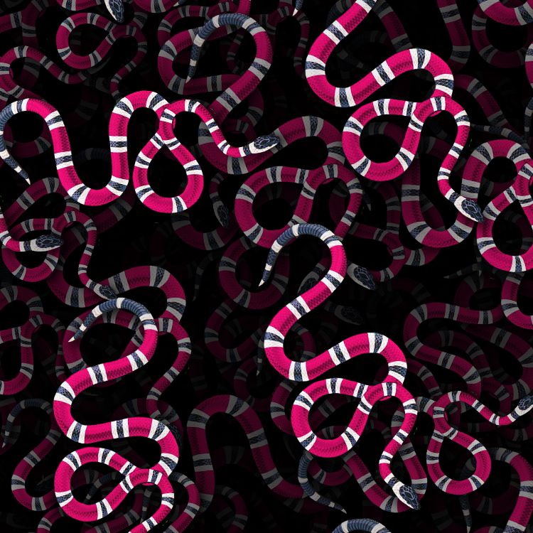 Sea Snake 24 – Pattern Crew