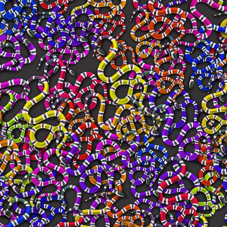 Sea Snake 26 – Pattern Crew