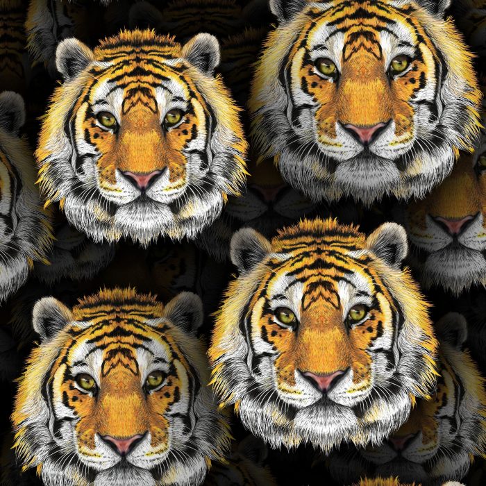 Tiger Face 22 – Pattern Crew