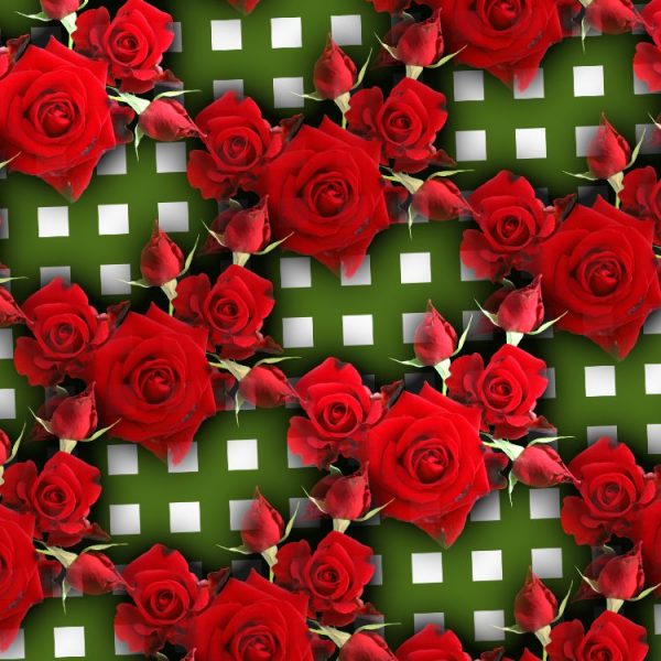 Red Roses 25 – Pattern Crew