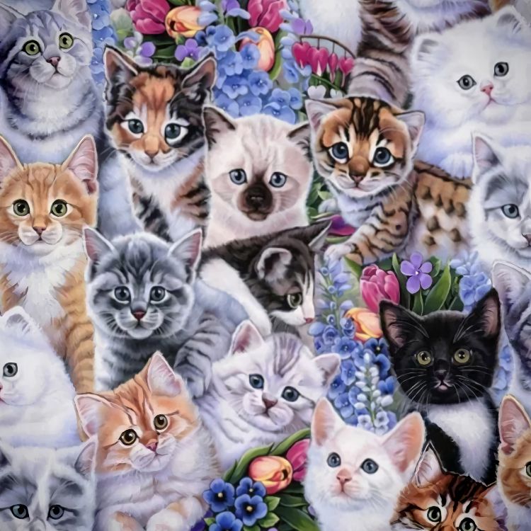 Kittens 23 – Pattern Crew