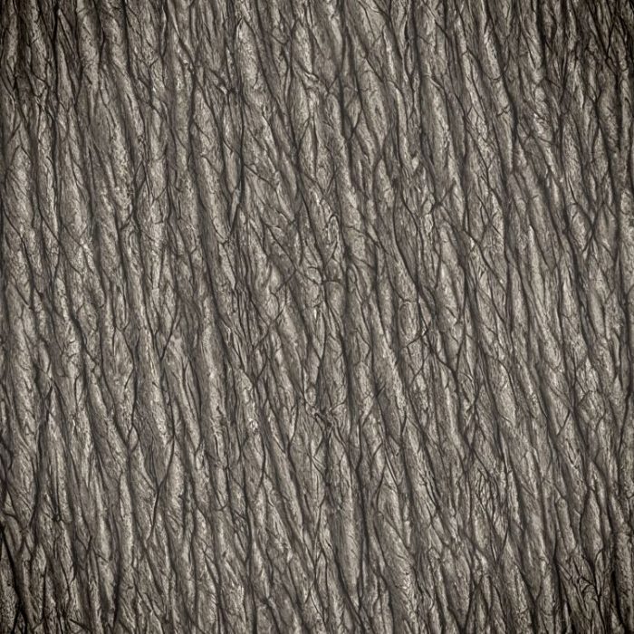 Elephant Skin 25 – Pattern Crew