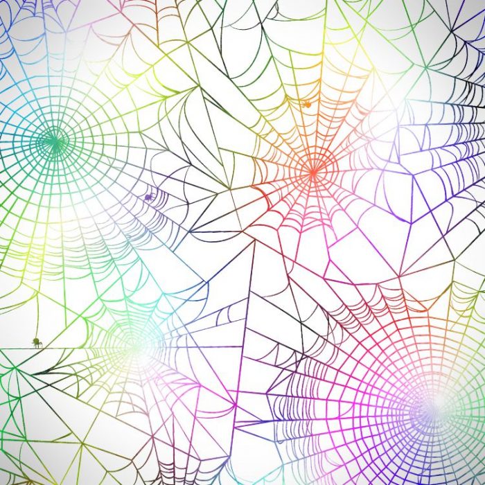 Spider Webs 25 – Pattern Crew