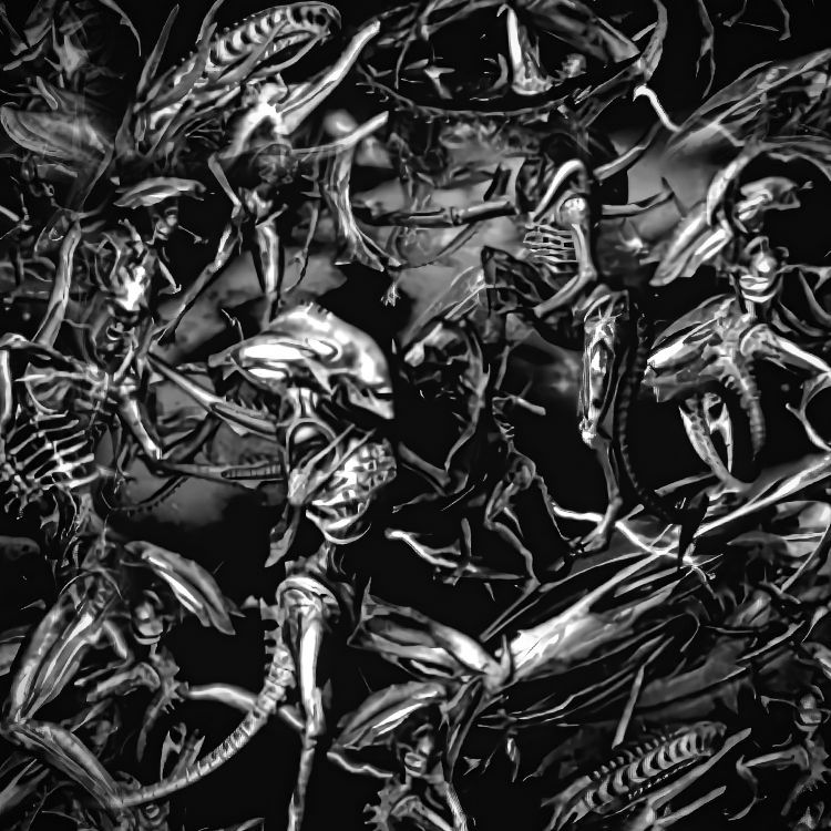 Chinese Alien – Pattern Crew