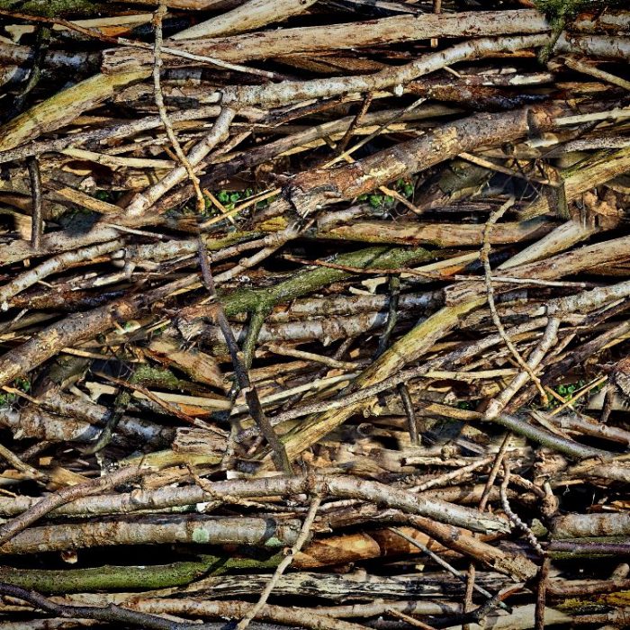 Dry Sticks – Pattern Crew