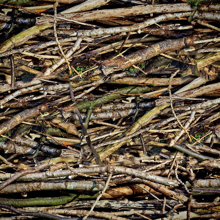 Dry Sticks – Pattern Crew