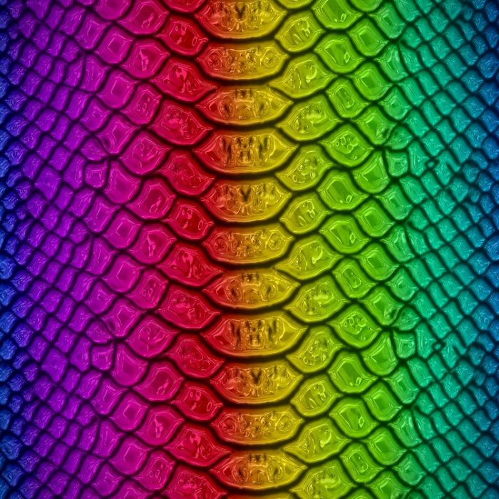 Rainbow Snake Skin 25 – Pattern Crew
