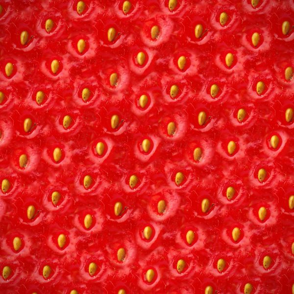 Strawberry Skin – Pattern Crew