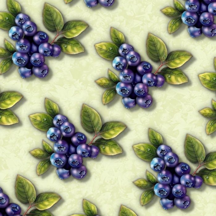 Blueberries 25 – Pattern Crew