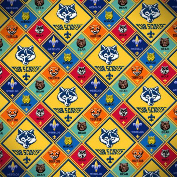 Cub Scouting 22 – Pattern Crew