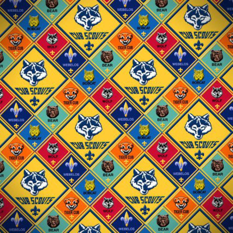 Cub Scouting 22 – Pattern Crew