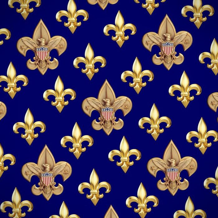 Gold BSA Logo 24 – Pattern Crew