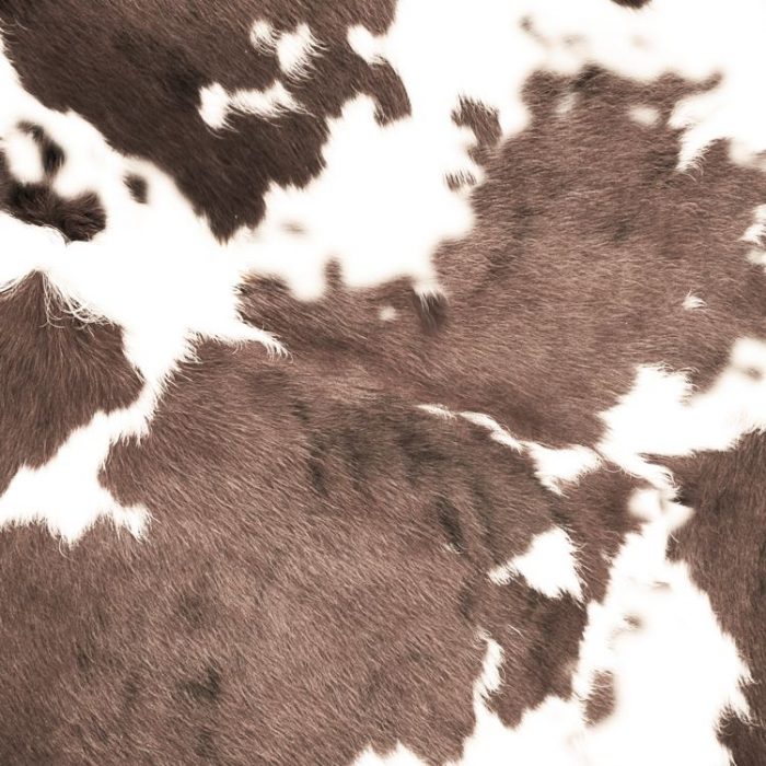 Longhorn Cowhide 22 – Pattern Crew