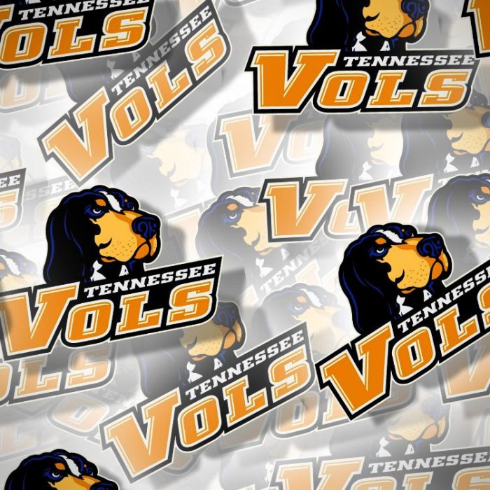 Tenn Vols Ovals 24 – Pattern Crew