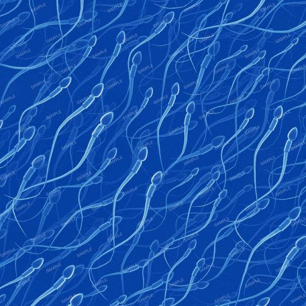 Human Sperm 23 – Pattern Crew
