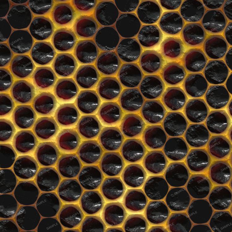 Alien Larvae – Pattern Crew