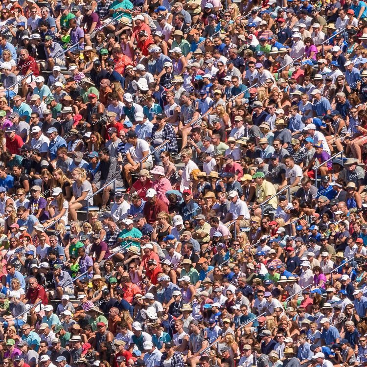 Grandstand Crowd – Pattern Crew