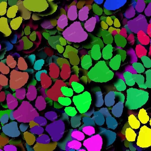 Color Paws 21 – Pattern Crew